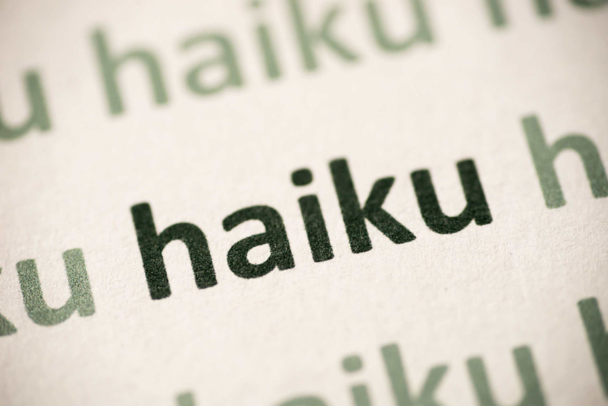 2025 Haiku Contest - The Winners